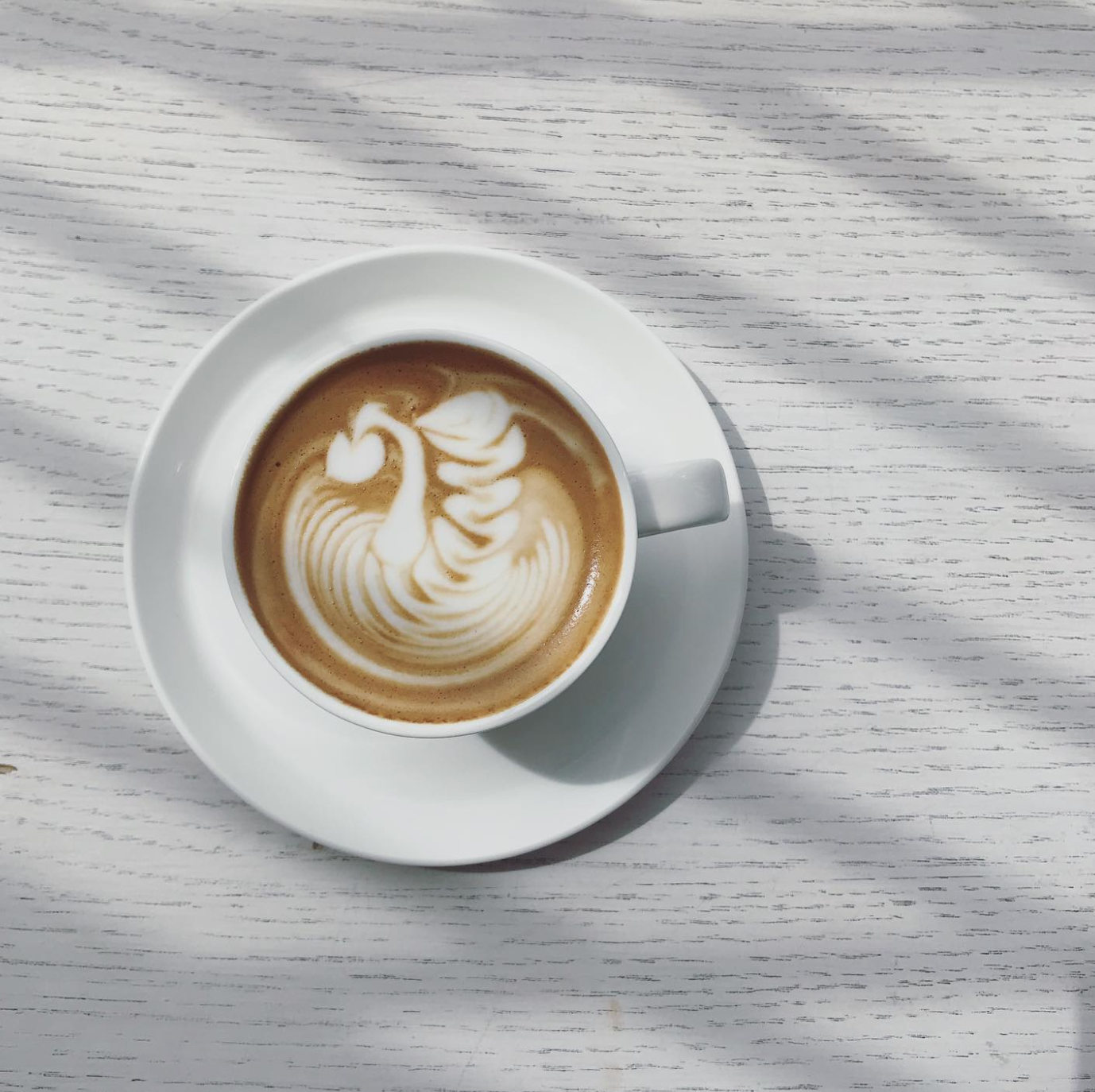 8 Of Strathcona's Best Coffee Shops | Strathcona Business Improvement ...